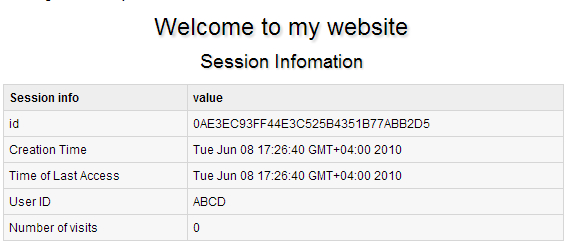 Session处理_调用public void invalidate() 方法来使整个session无效。-CSDN博客
